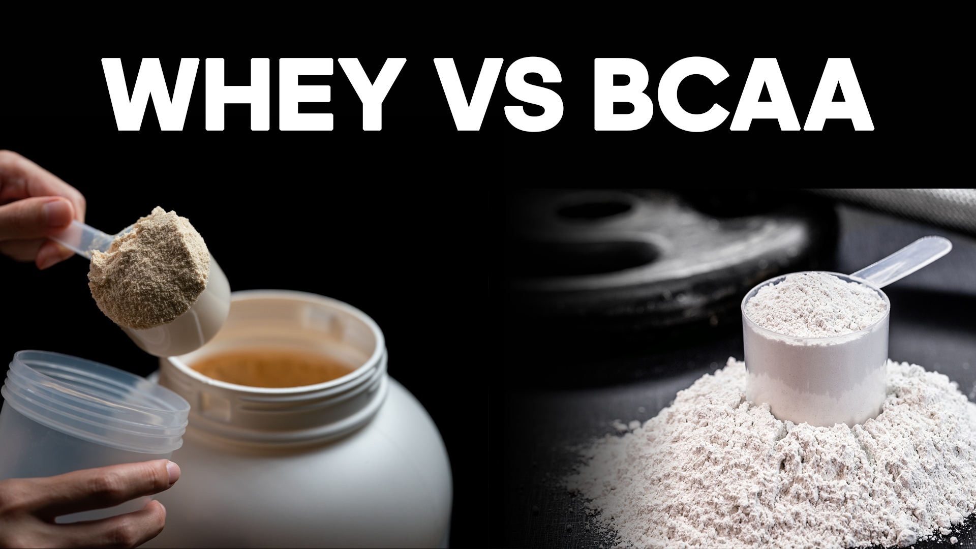 BCAAs vs. Whey Protein: Which One Should You Choose? - Kiloforce